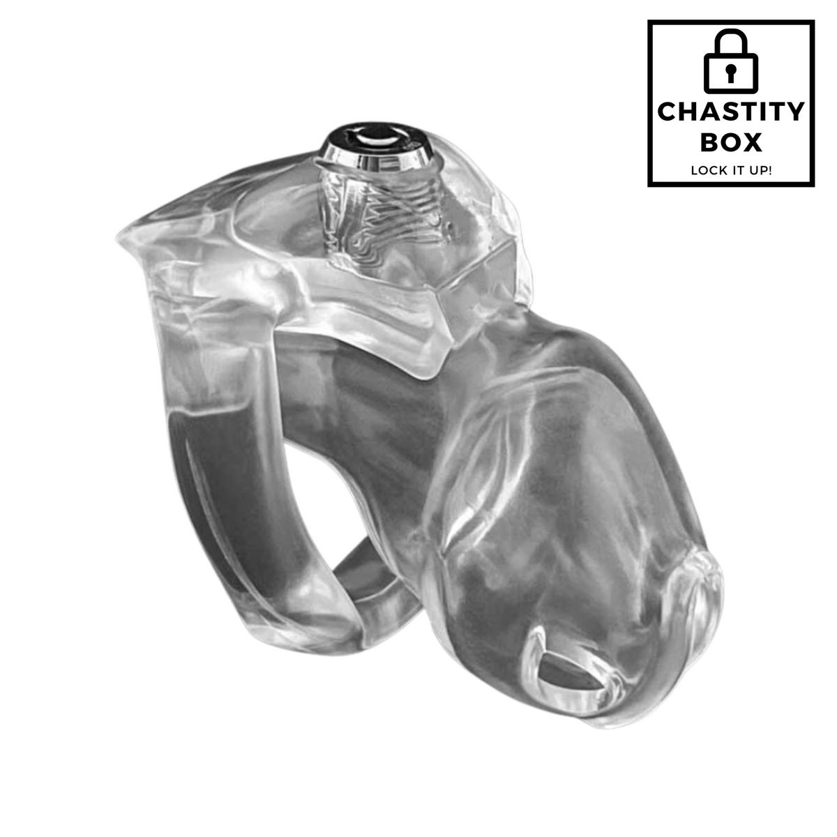 Lockdown Pro – CB Store